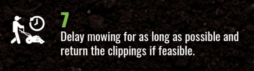 The best and the rest of the 7 point plan for Acelepryn ...