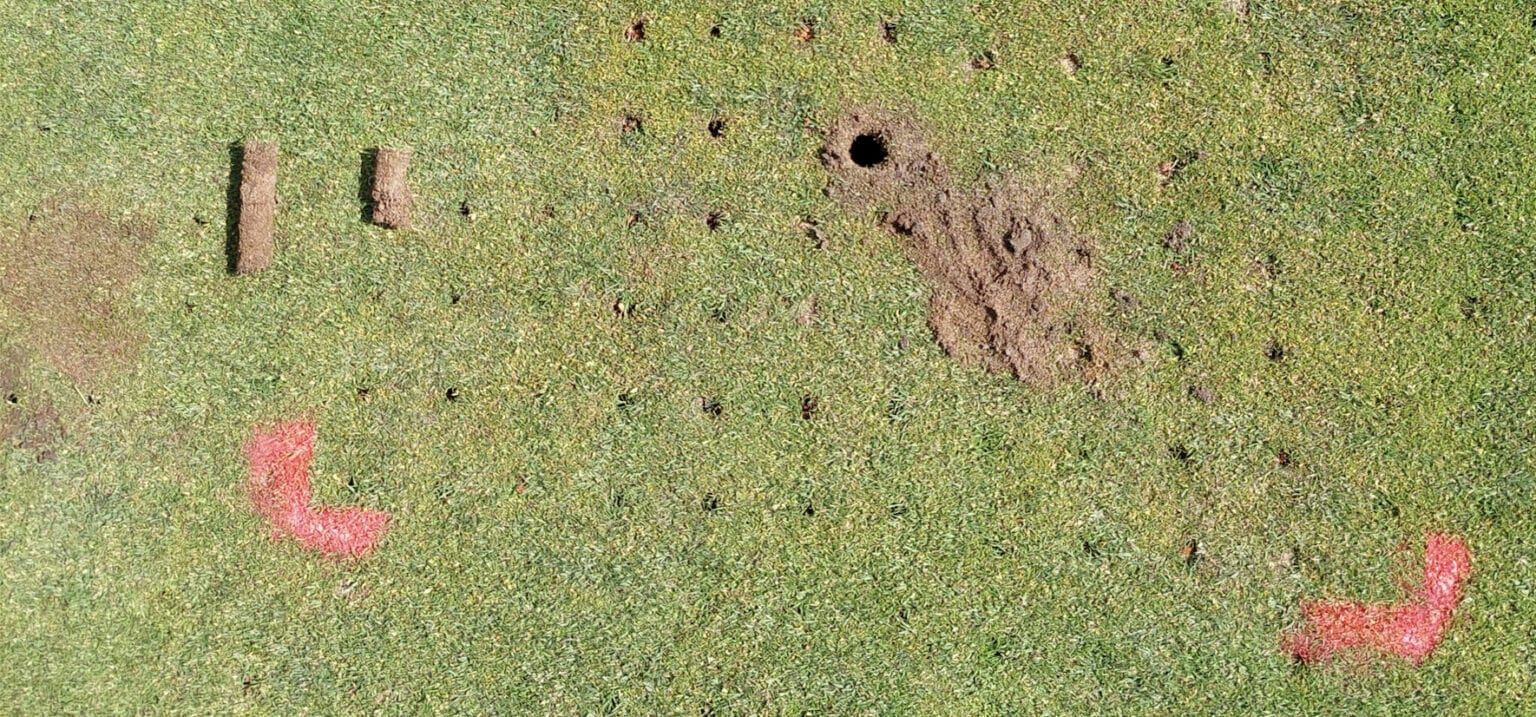 Some like it hot? > greencastadvisory.com